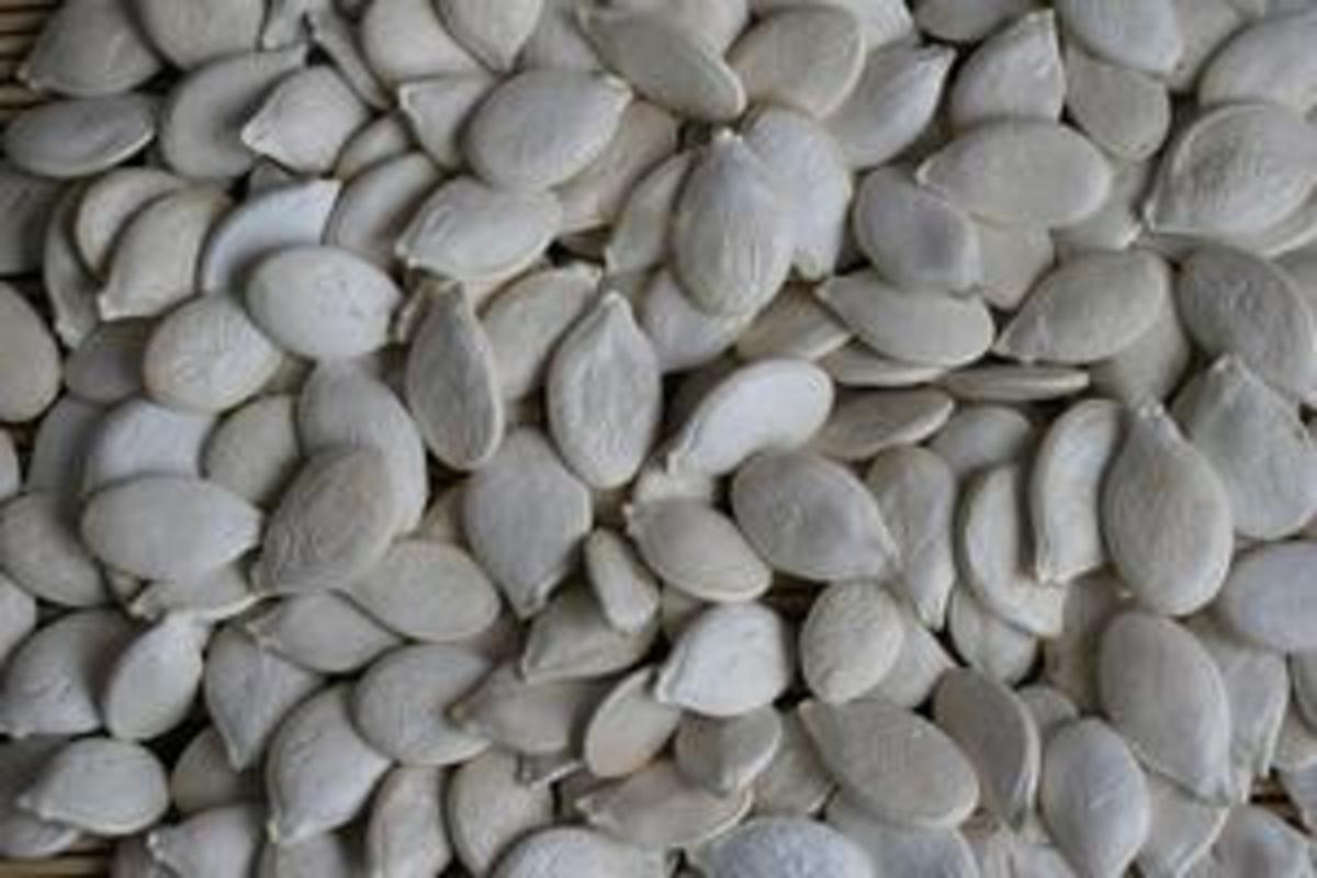 Robyn D Bera on HubPages