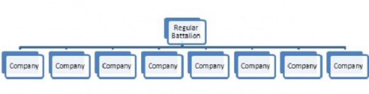 American Civil War Life: Filling the Ranks – Order of Battle: The ...
