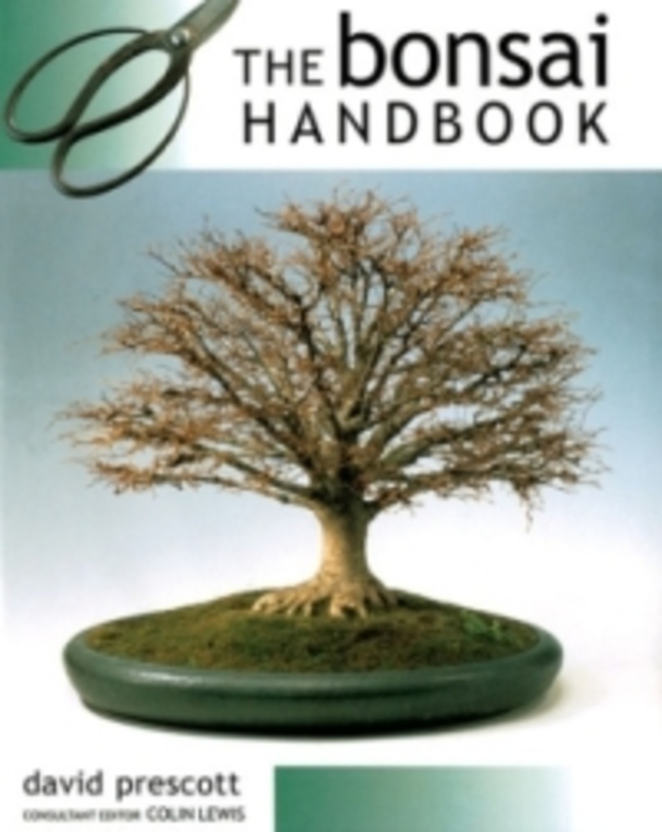 Three Great Bonsai Books For Your Level of Experience - HubPages
