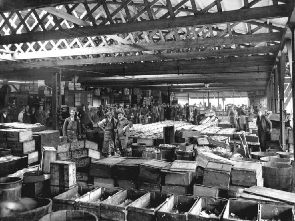 The Great Fishermen of Britain - Feeding the Nation During WWII and ...