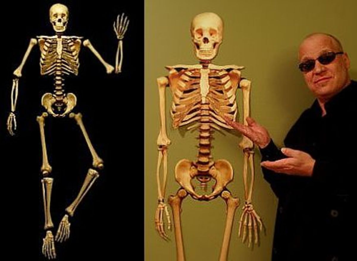 Jaw-dropping Halloween paper models that you can build yourself - HubPages