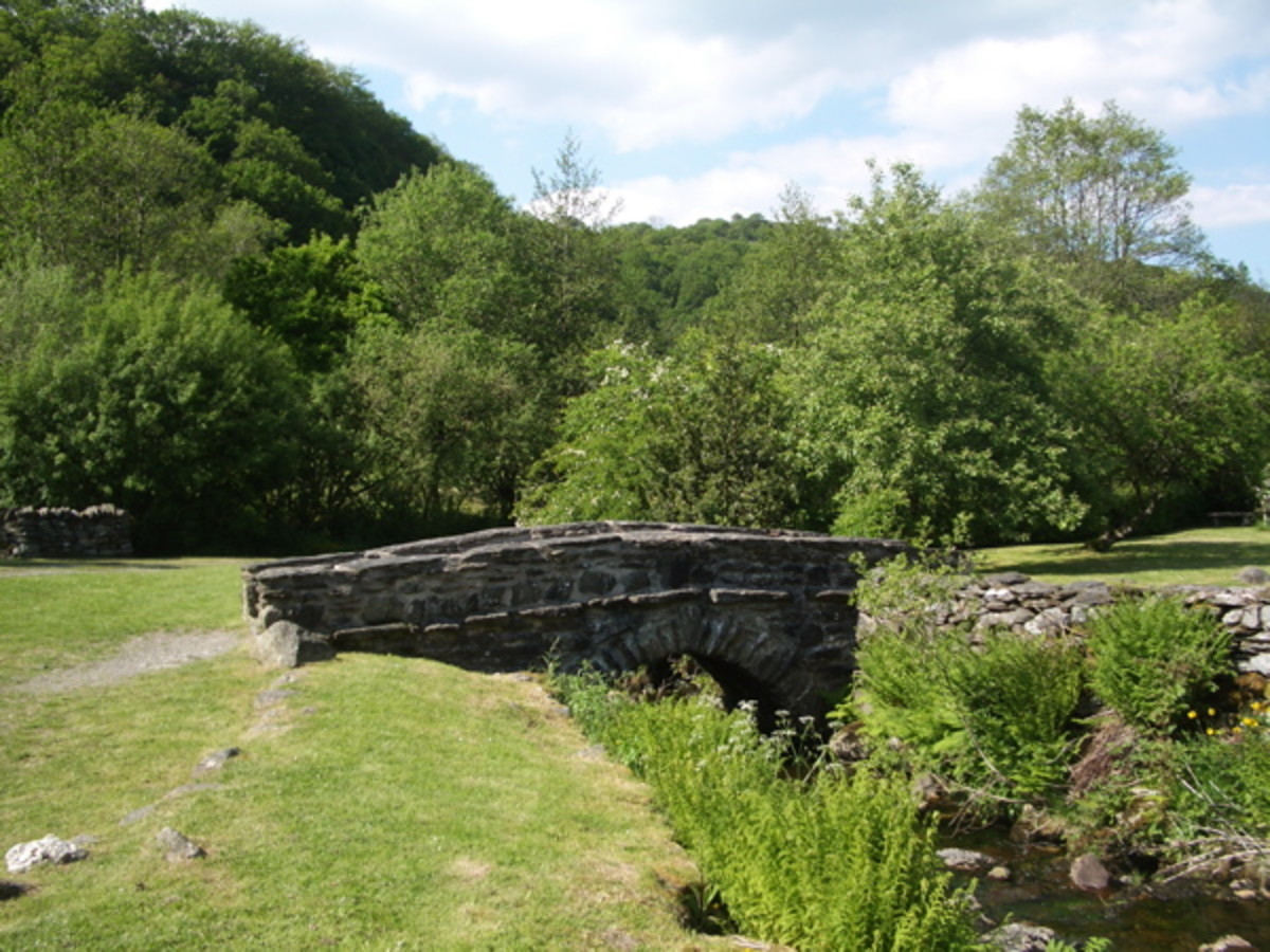 Welsh Monsters - The Dreaded Gwiber - HubPages