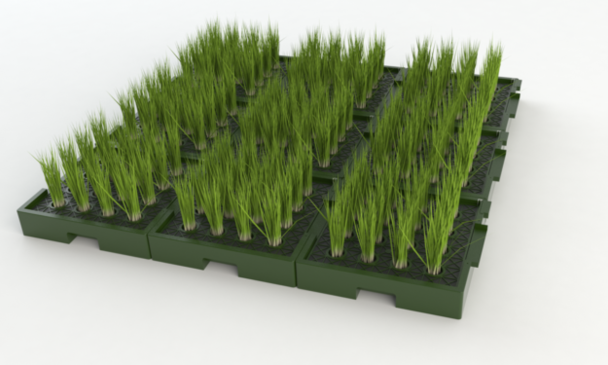 How To Generate Electricity From Plants - HubPages