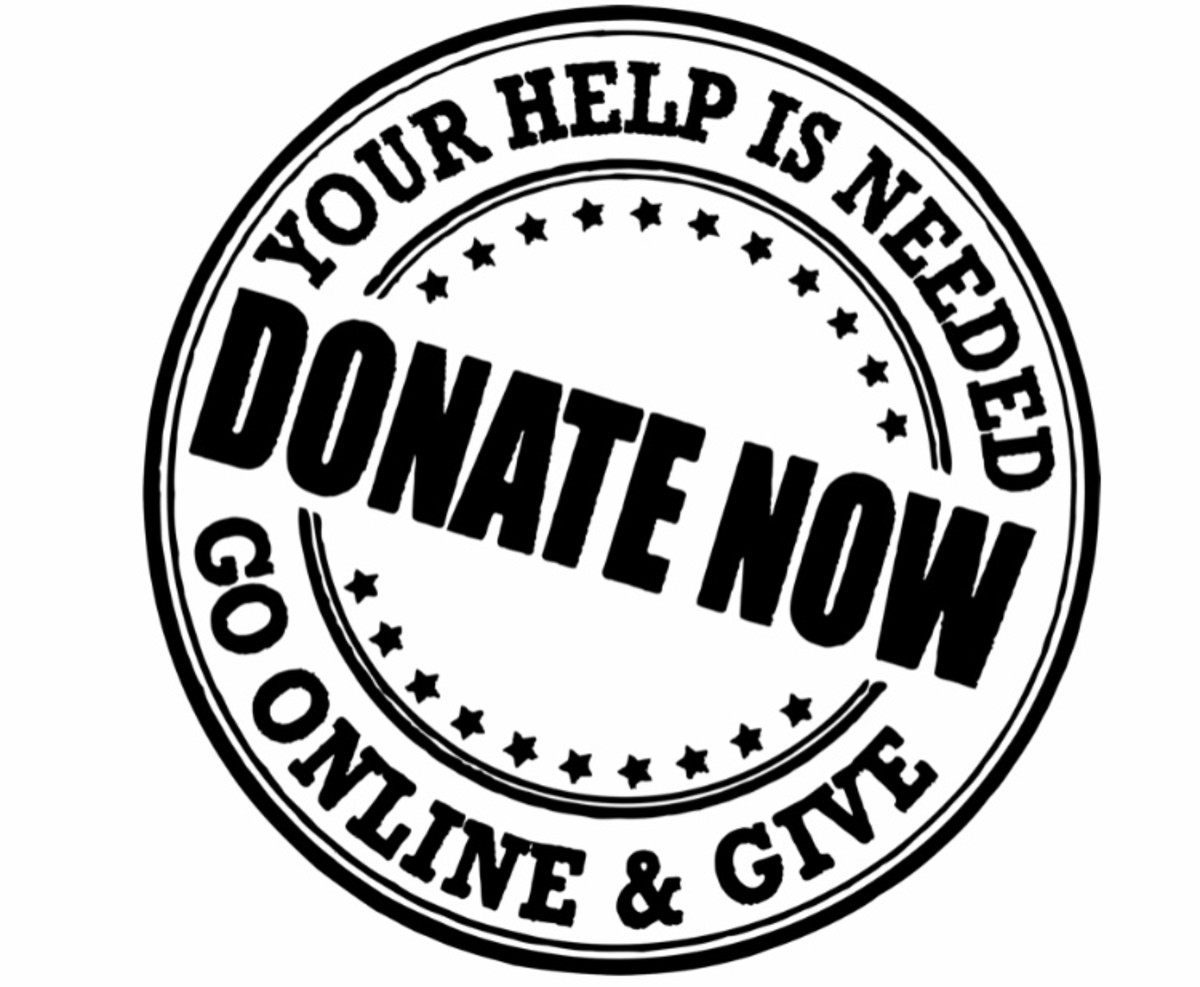 5 Reasons to Donate to Local Charities Instead of International ...