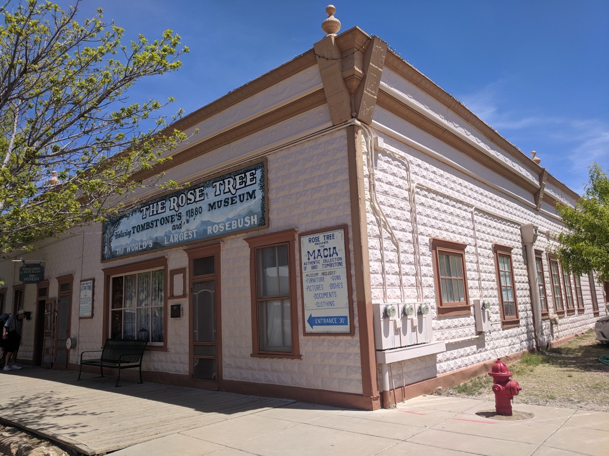 Story Behind Tombstone Arizona's World Famous Rose Bush - HubPages
