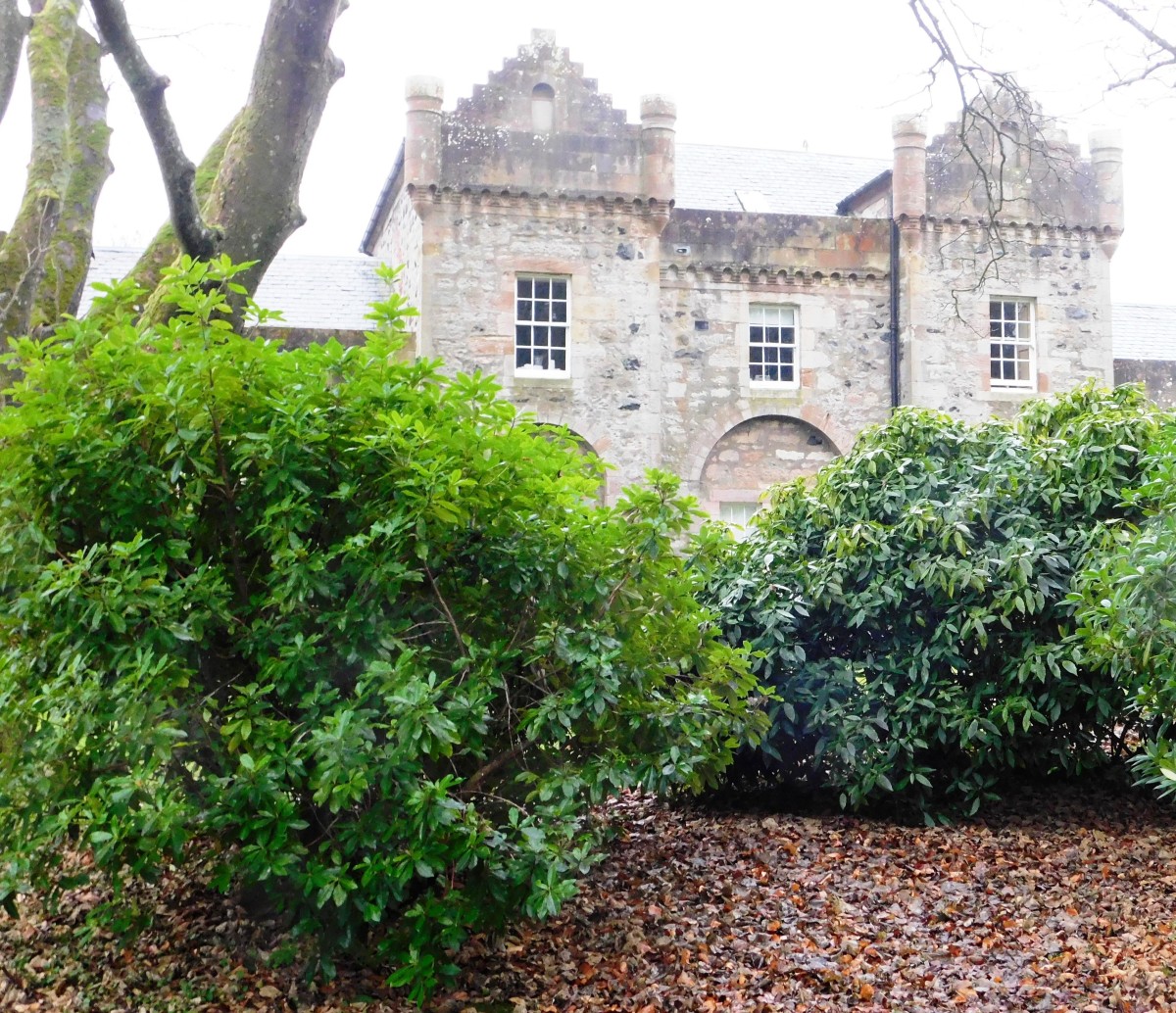 Fullarton Woods: Troon South Ayrshire Scotland - HubPages