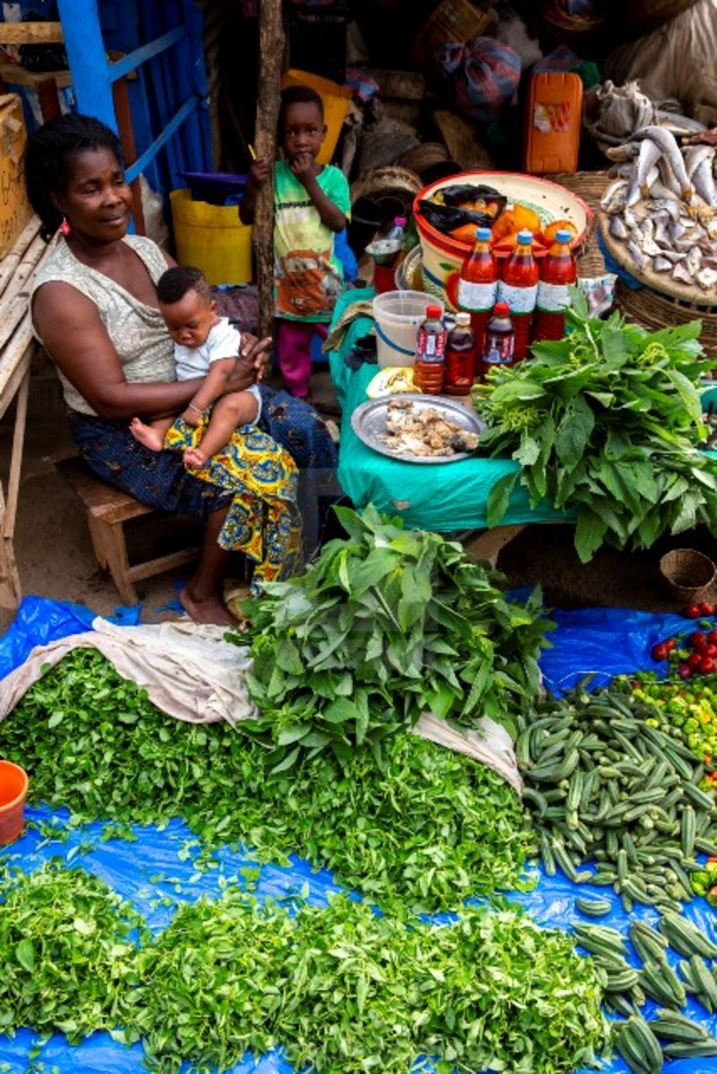 Busy Bees in Bazaar - HubPages