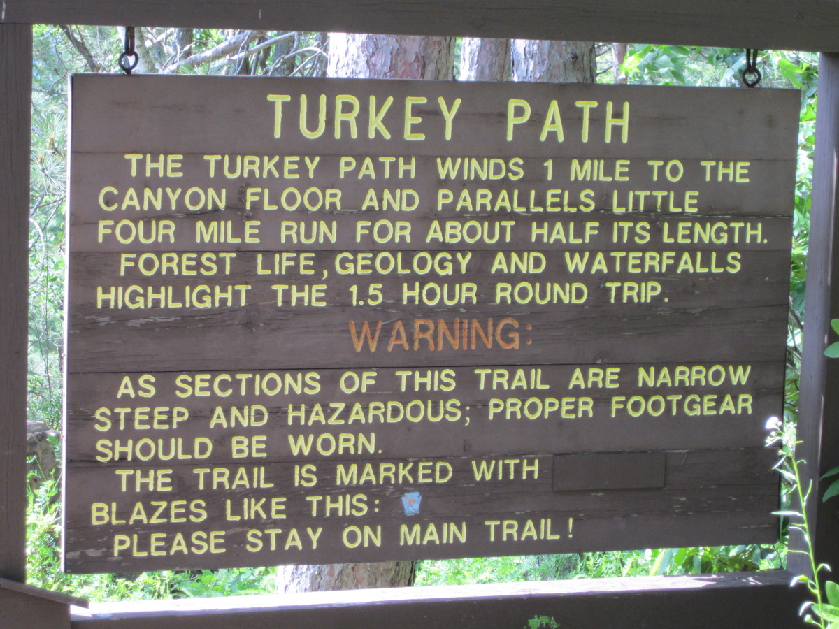 Turkey Path in Leonard Harrison State Park, Wellsboro, PA - HubPages