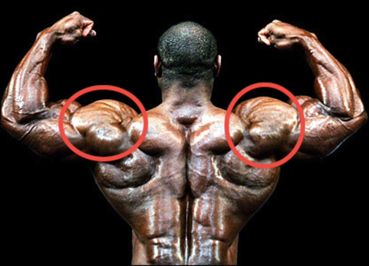 How to Build Big Thick Shoulder Muscles - HubPages