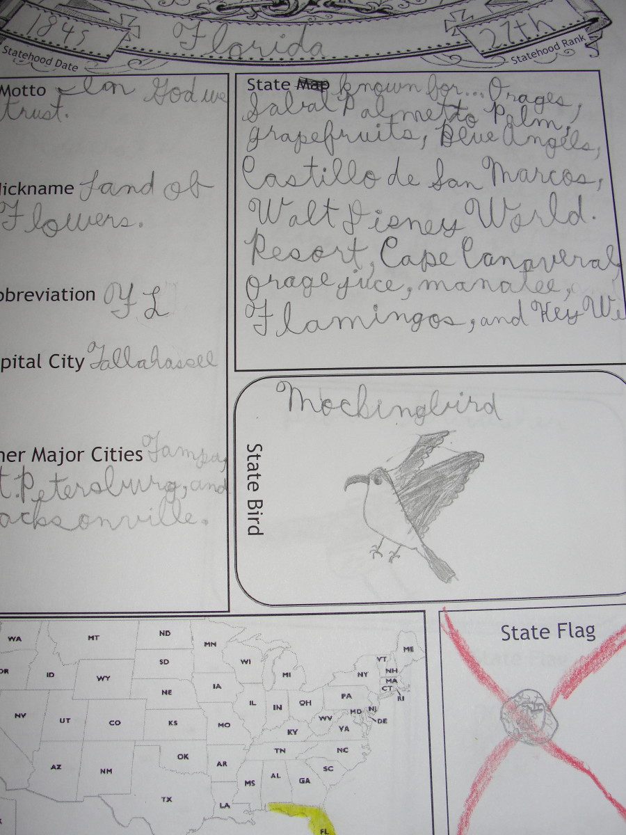 Florida for Teachers and Travelers - HubPages