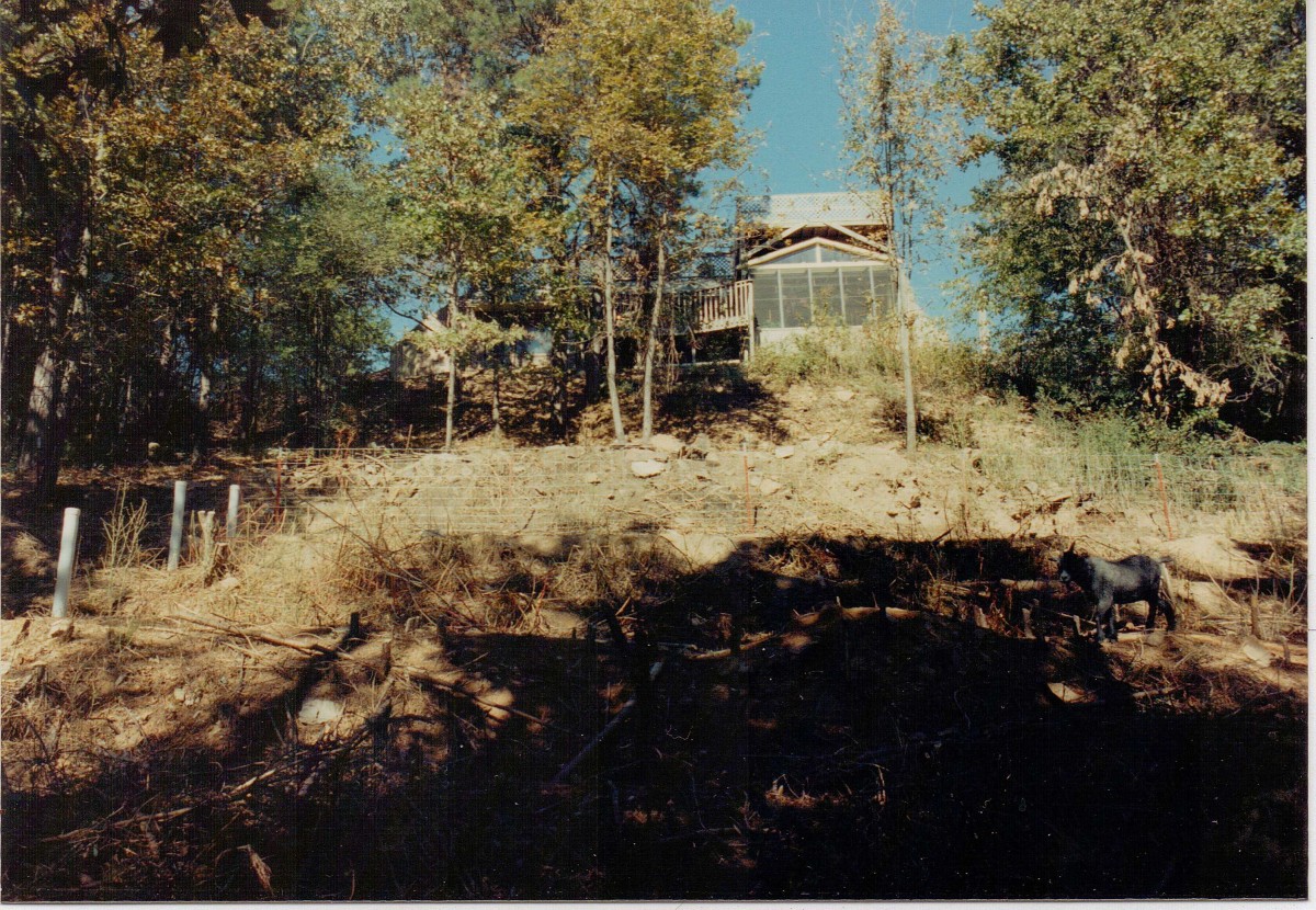 A Crazy Groundhog Lived on My Roof - HubPages