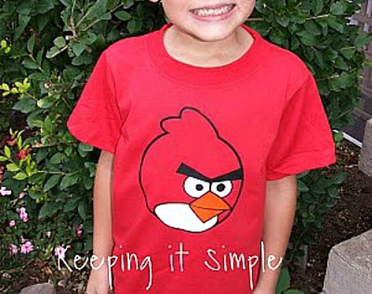29 Cute and Easy Angry Birds Crafts - HubPages