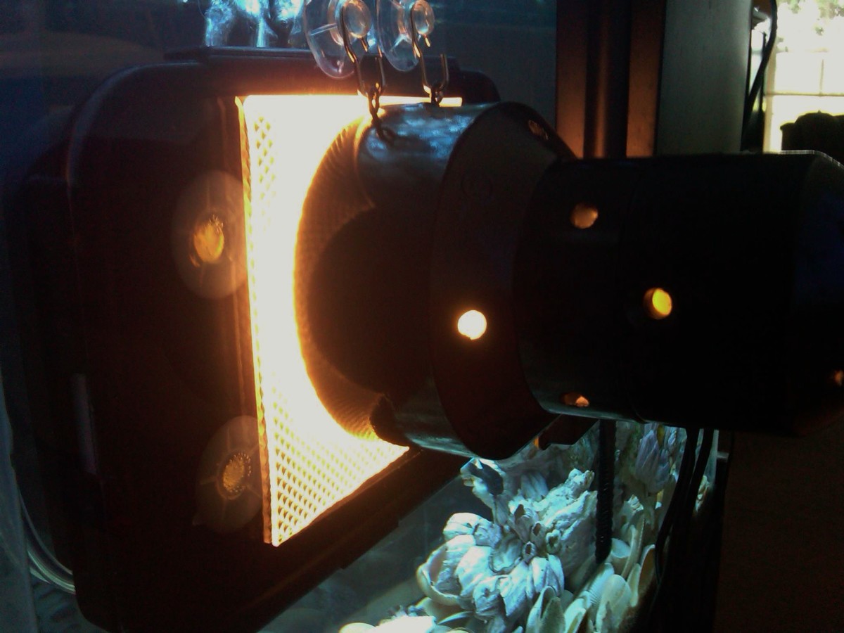 (UAS) DIY Freshwater Up-flow Algae Scrubber #algaescrubber - HubPages