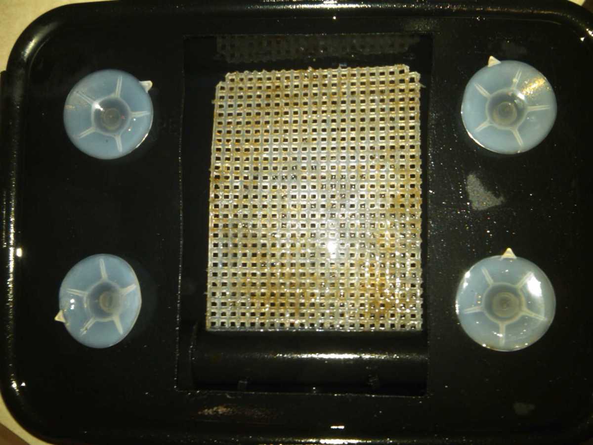 (UAS) DIY Freshwater Up-flow Algae Scrubber #algaescrubber - HubPages