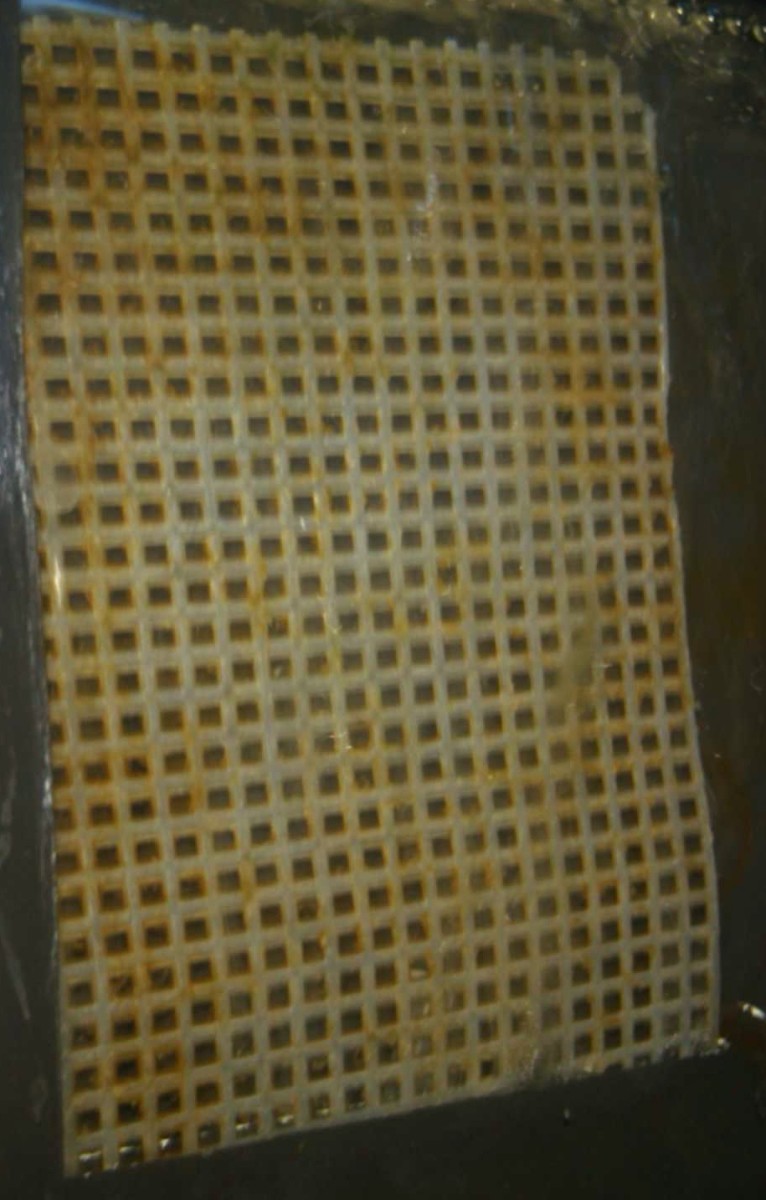 (UAS) DIY Freshwater Up-flow Algae Scrubber #algaescrubber - HubPages