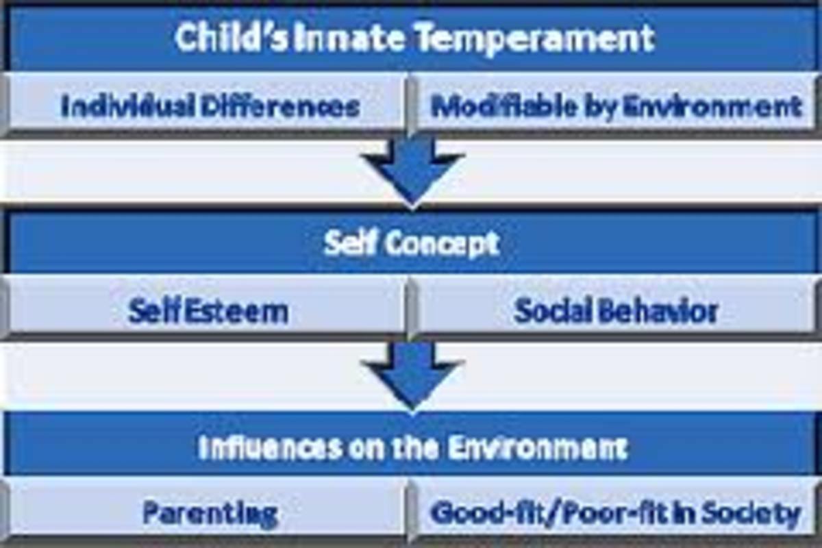 Temperament in School Age Children and the Effect of Success in the ...