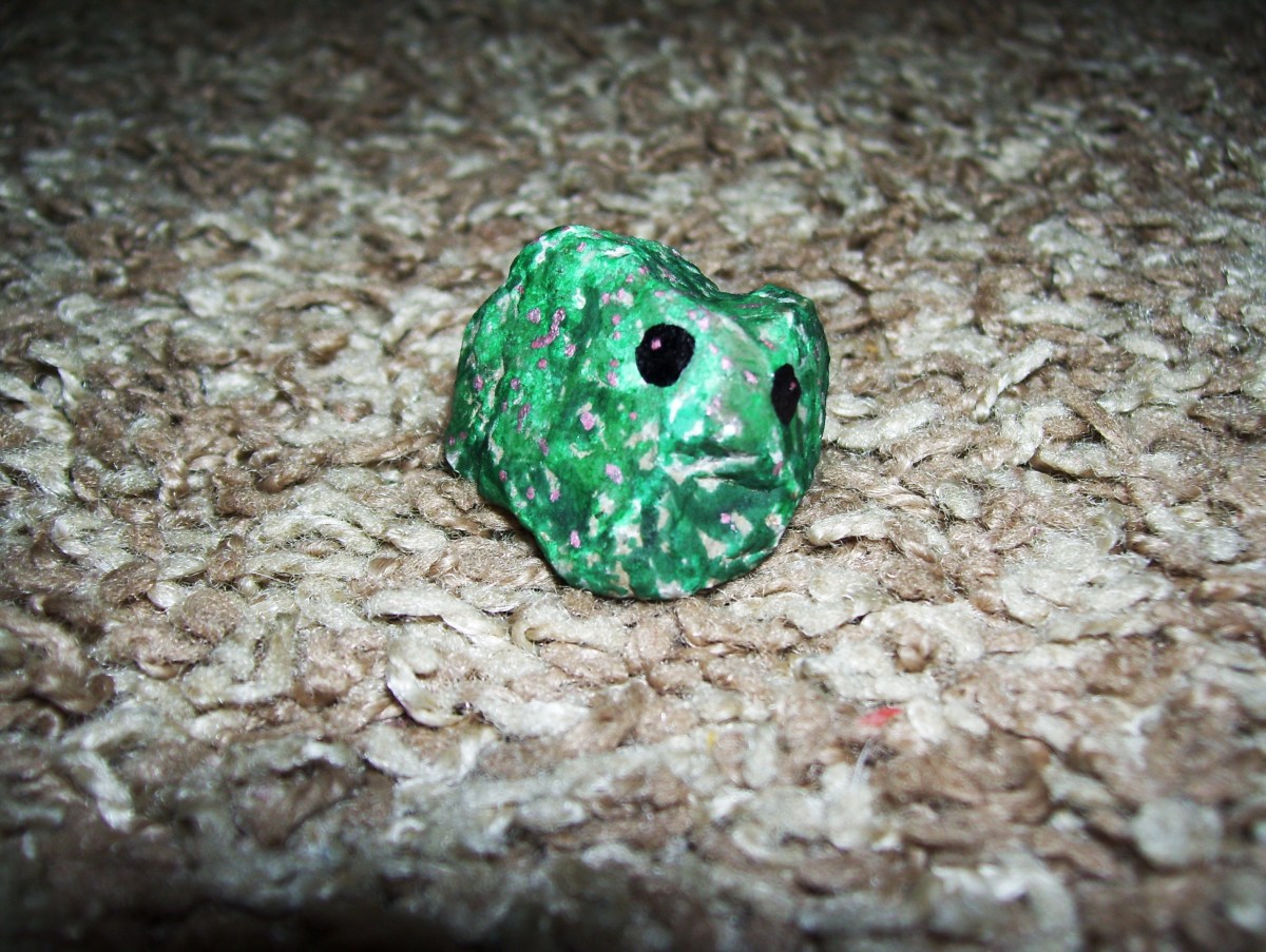 How to Have a Fun Time with Your Pet Rock - HubPages