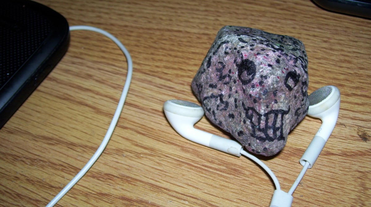How to Have a Fun Time with Your Pet Rock - HubPages