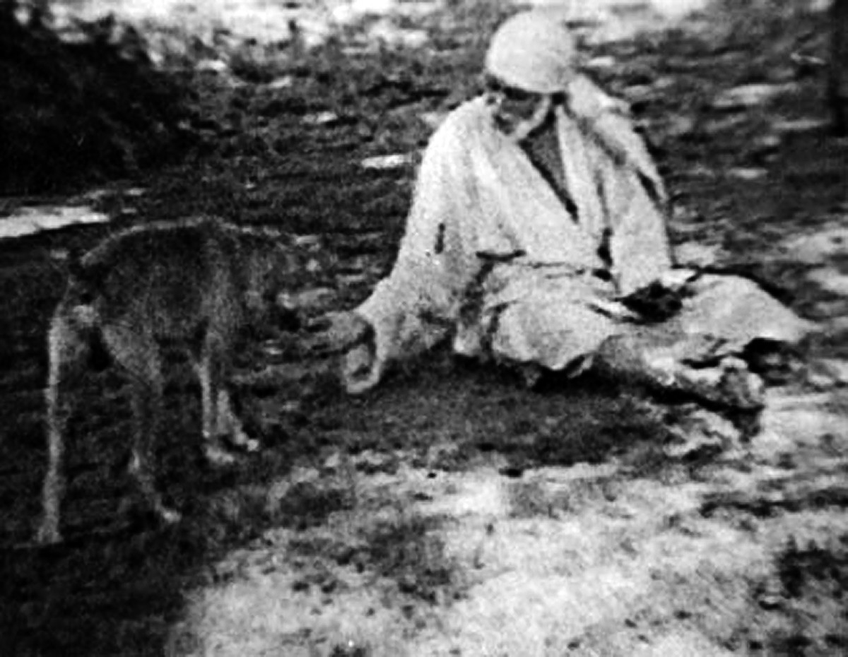 Seeing God in a Dog: The Unity of the Two Babas - Shirdi Sai and Sathya ...