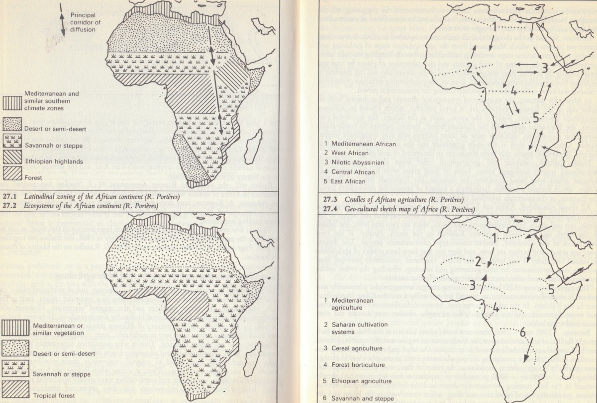 From Gondwanaland to Mzantsi: Untold Human Origins and African History ...