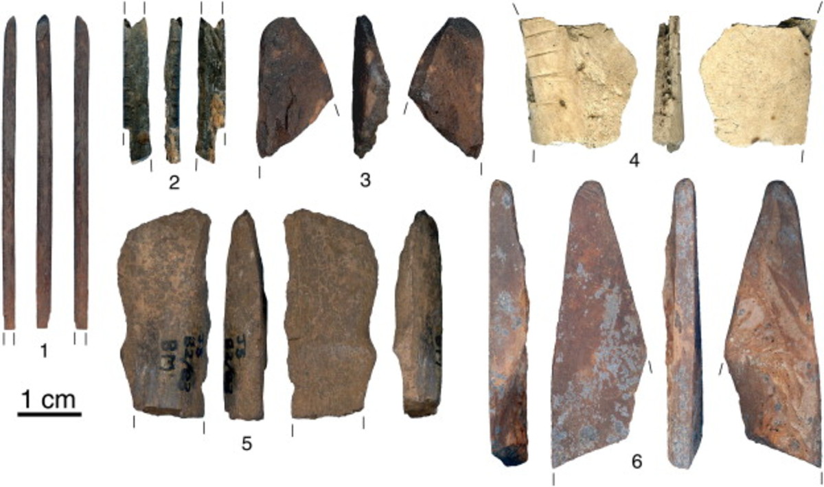 From Gondwanaland to Mzantsi: Untold Human Origins and African History ...