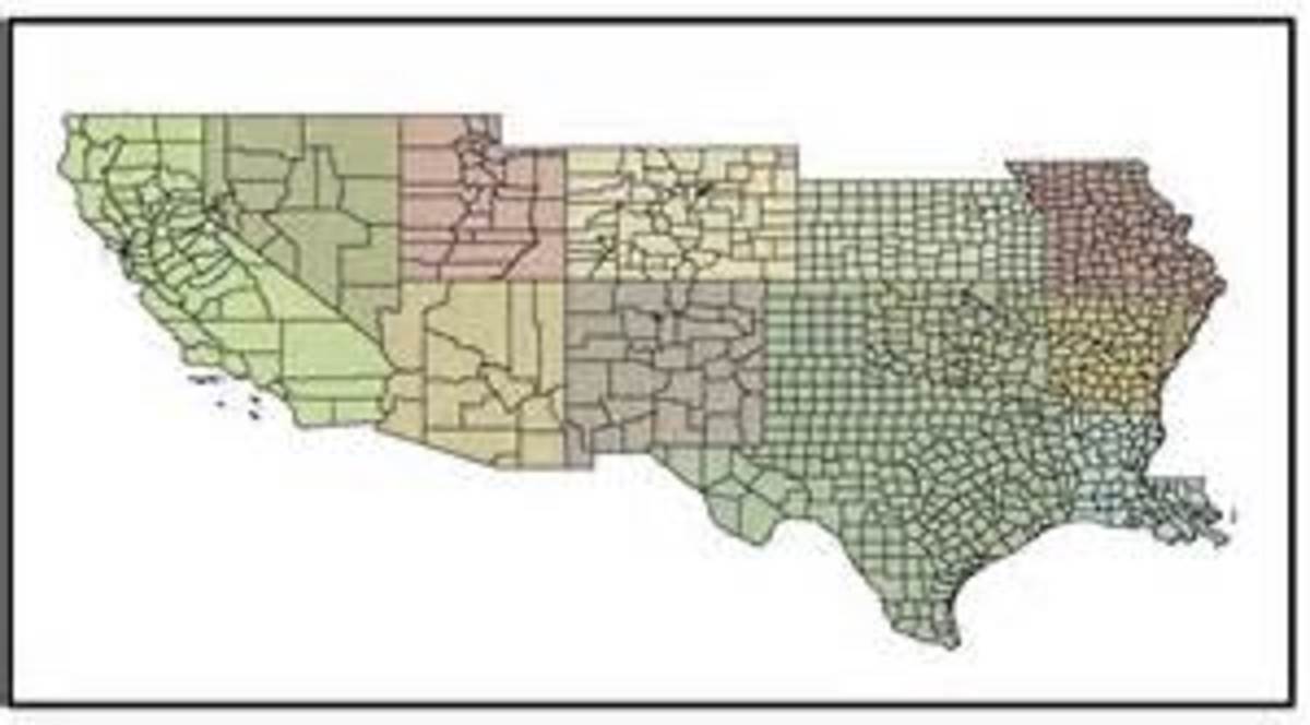 Most Venomous Spiders and Insects in North America - Most Poisonous ...