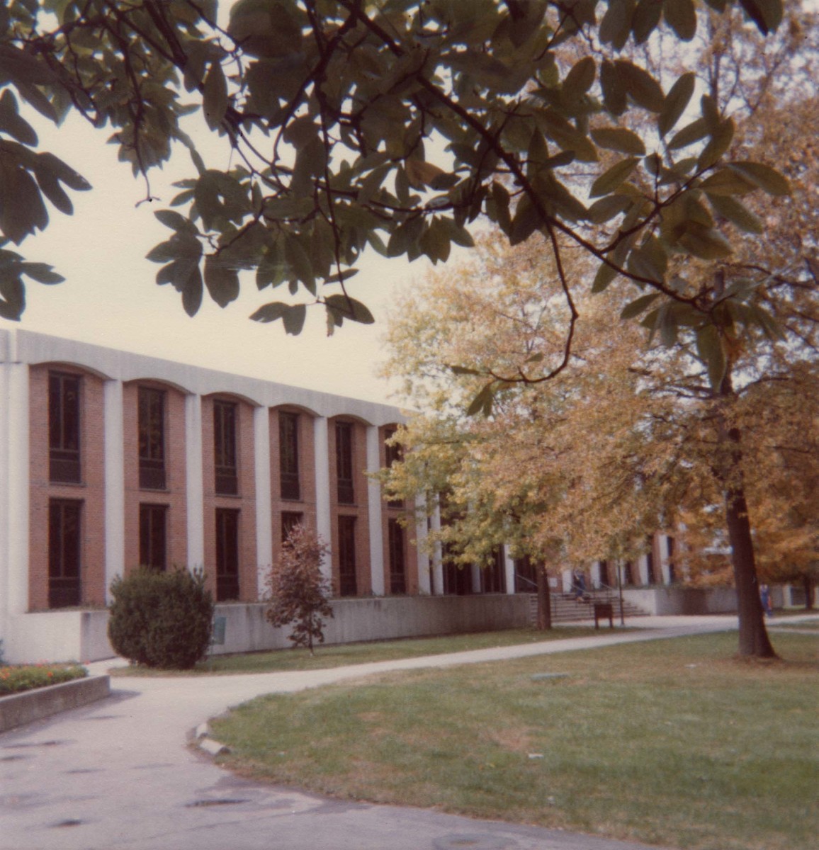 What is Berea College Really Like? - HubPages