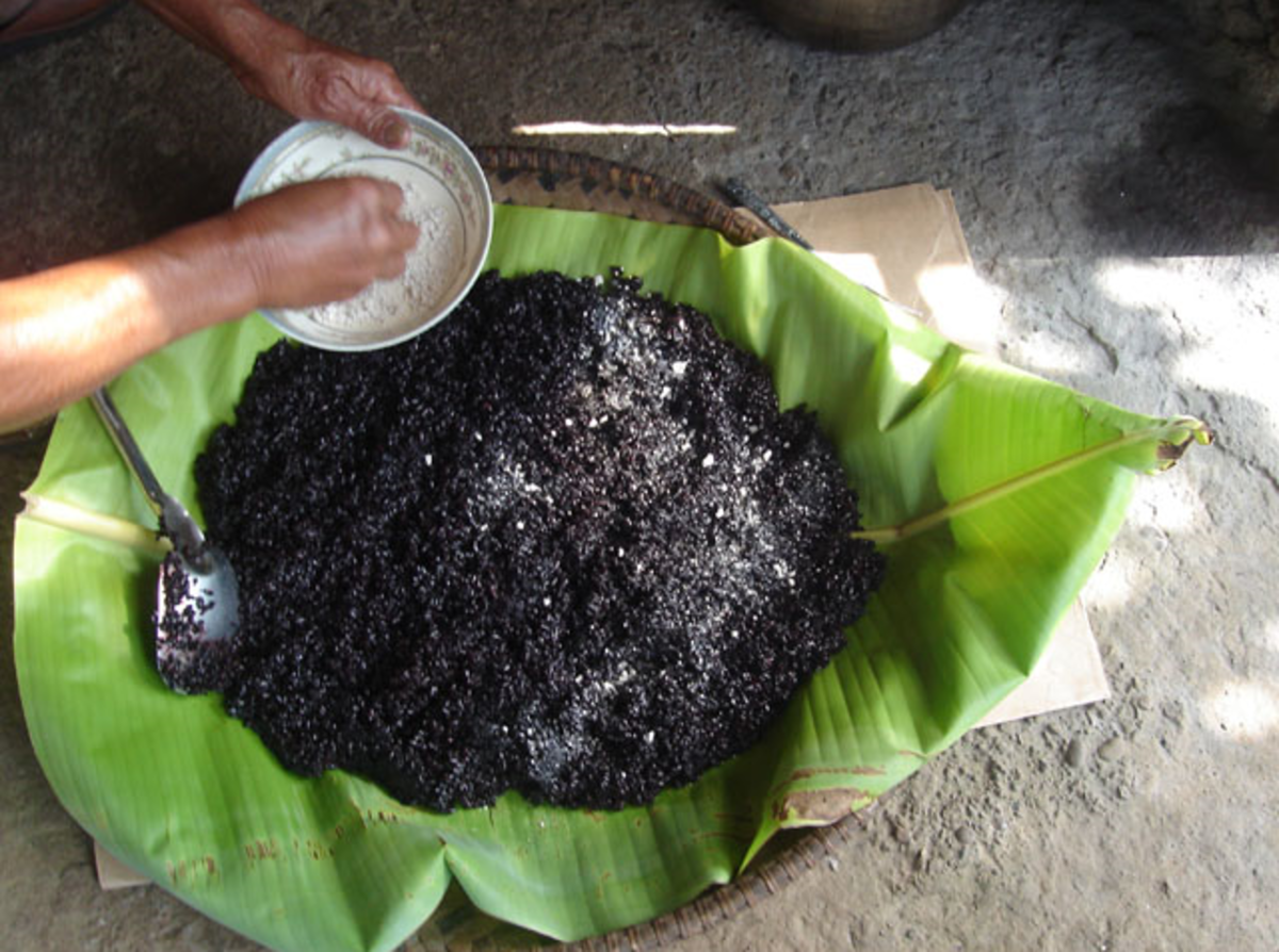 Tapuy - Filipino Rice Wine: How to Make - HubPages