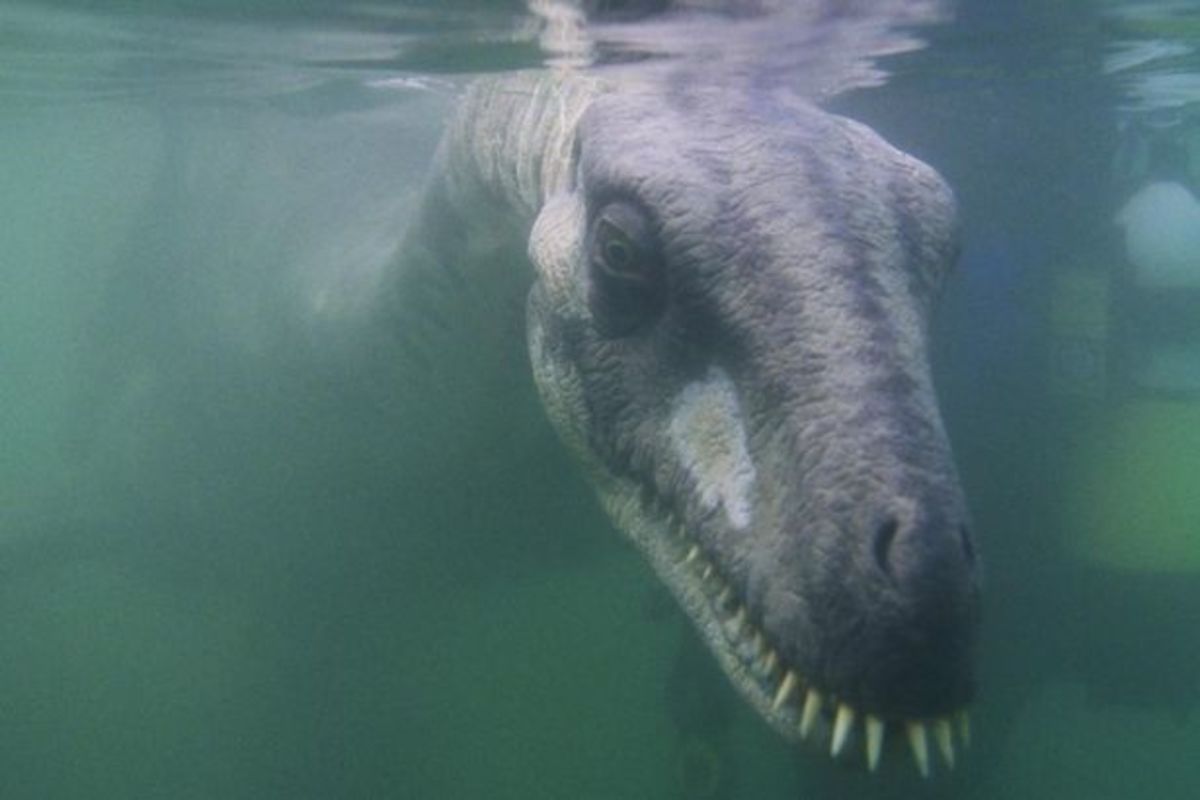Nessie: Mysterious Animal Inhabiting Scotland's Loch Ness or Myth ...