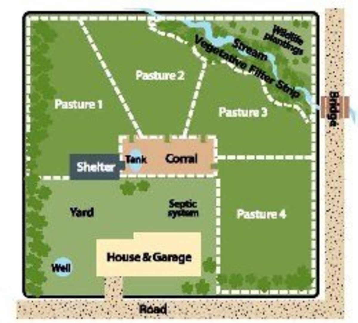 What You need to Know Before Deciding to Raise Extra Roosters for Meat ...