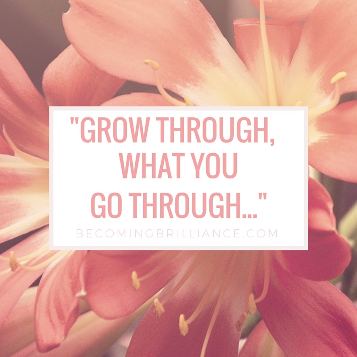 How I Learned to Grow From What I Been Through - HubPages