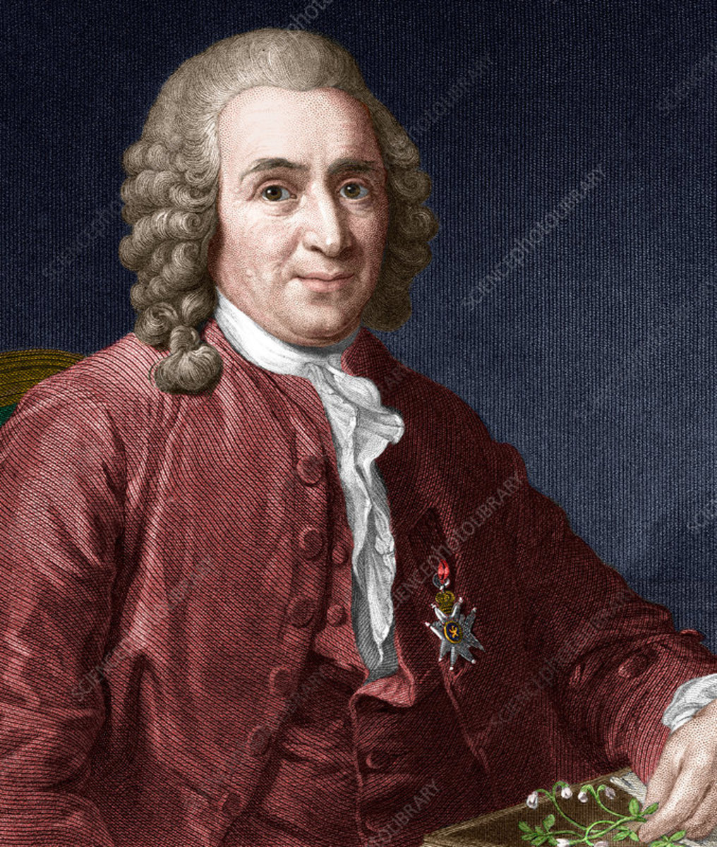The Botanical Garden as a Source of Pleasure and Science: Three Urban ...