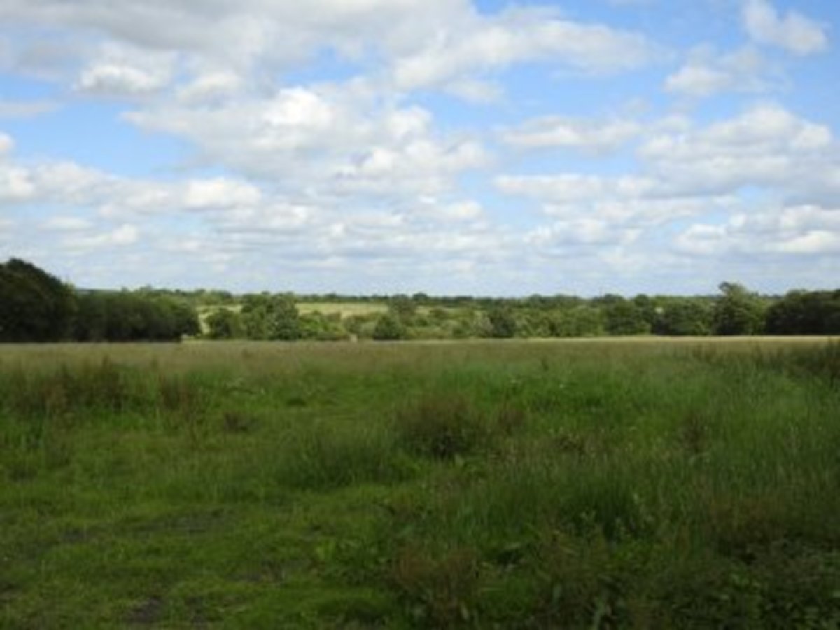 The West Midlands All Dayer Spring 2019 - HubPages