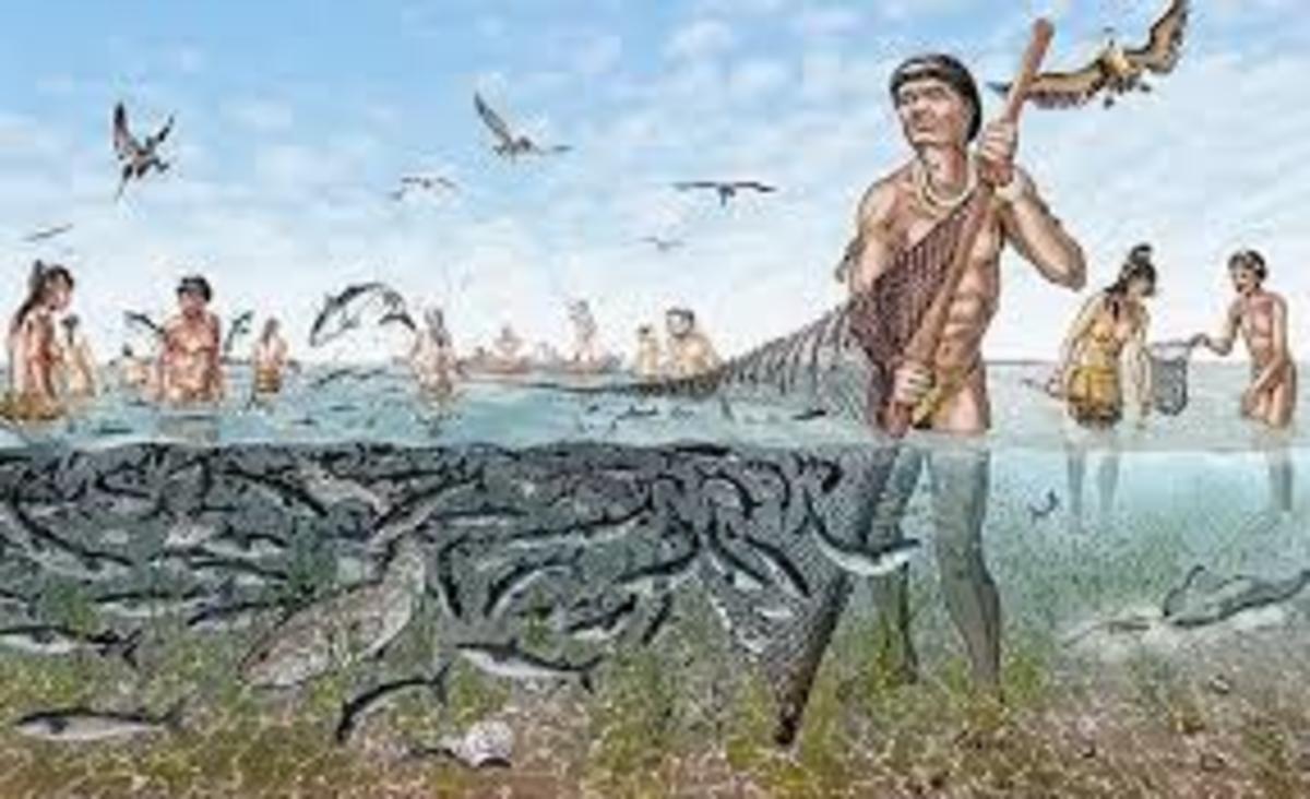 Prehistoric Florida, 12,000 years ago - HubPages