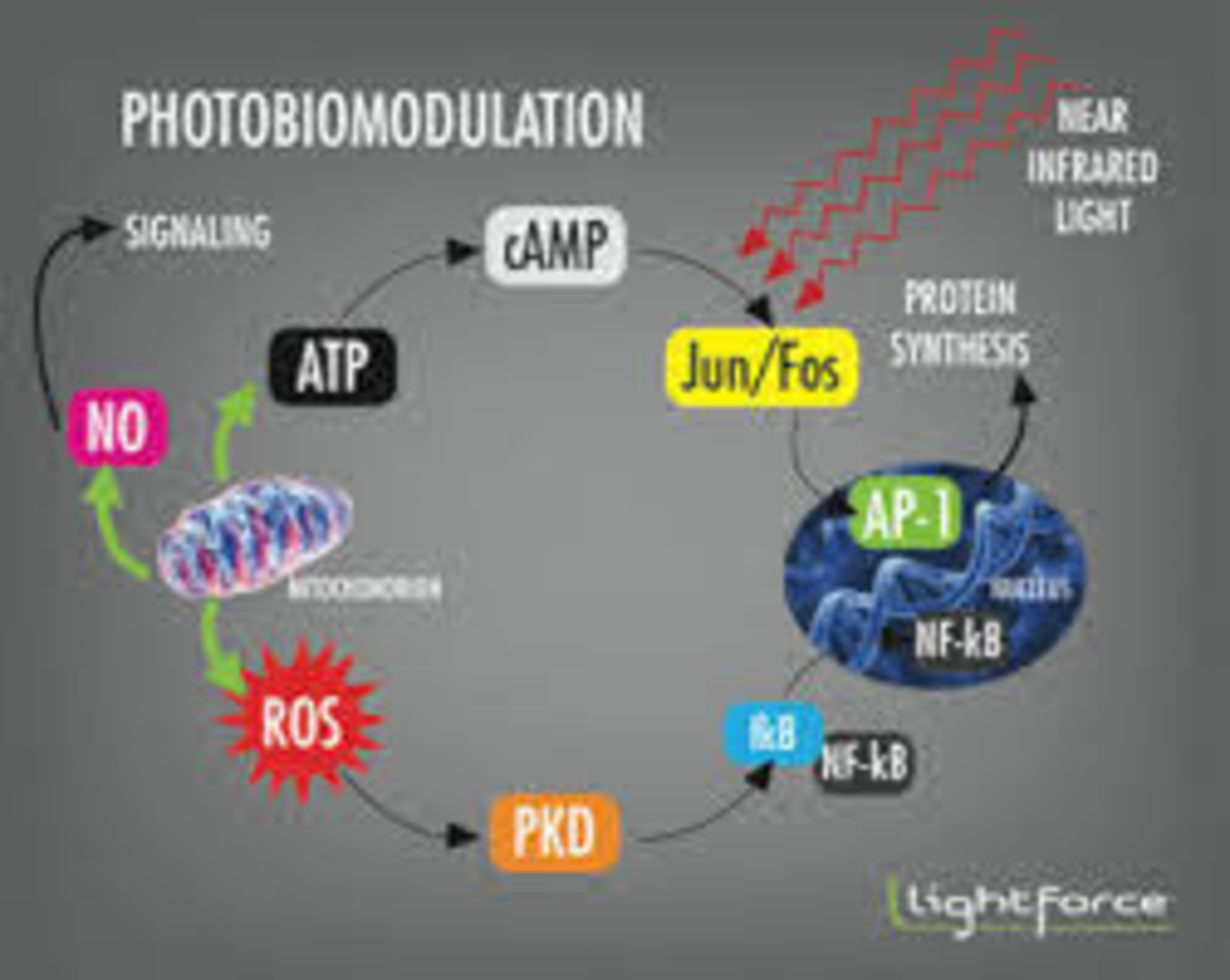 Stem Cell Therapy Versus Photobiomodulation - HubPages