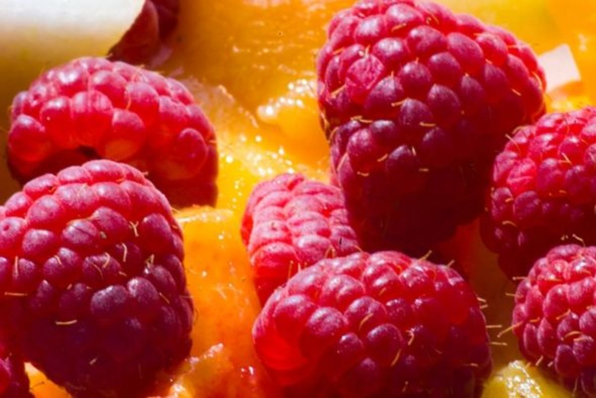 Raspberries - My Favorite Fruit - HubPages