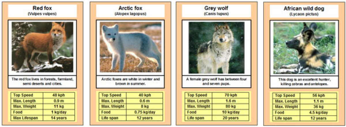 Free Printable Card Game - Animal Trumps - HubPages