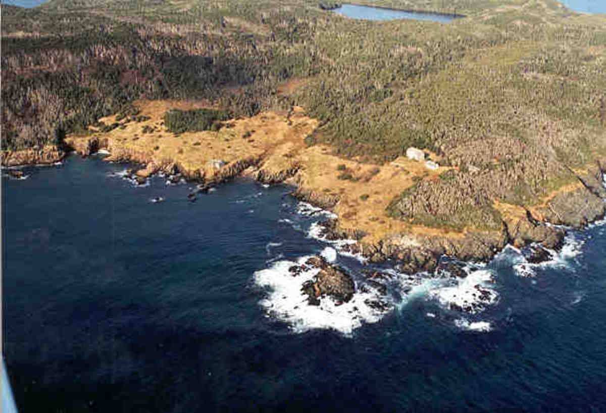 Scuba Diving Off St. Paul's Island: Dedicated to the Memory of Mike ...