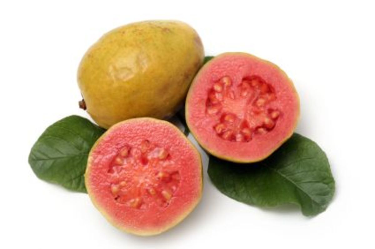 Guava Duff - HubPages