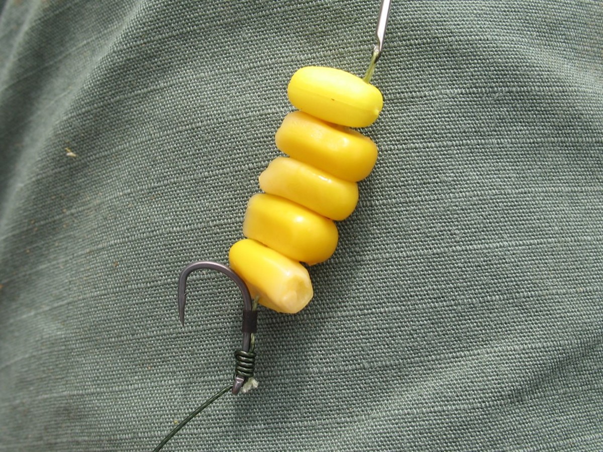 How to Fish and Fishing for Carp Chapter 1 - HubPages