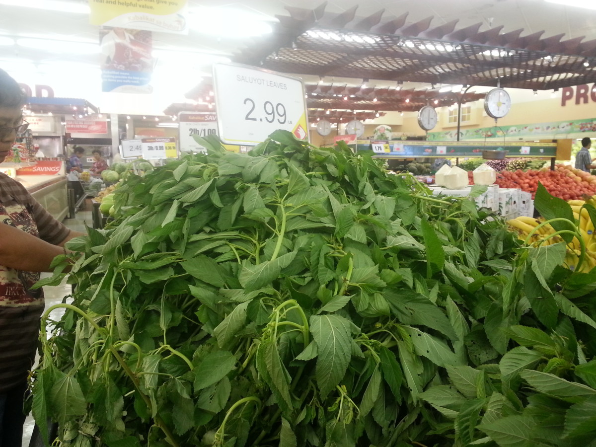 Corchorus Olitorius - Jute Plant, Saluyot, or Egyptian Spinach Photos ...