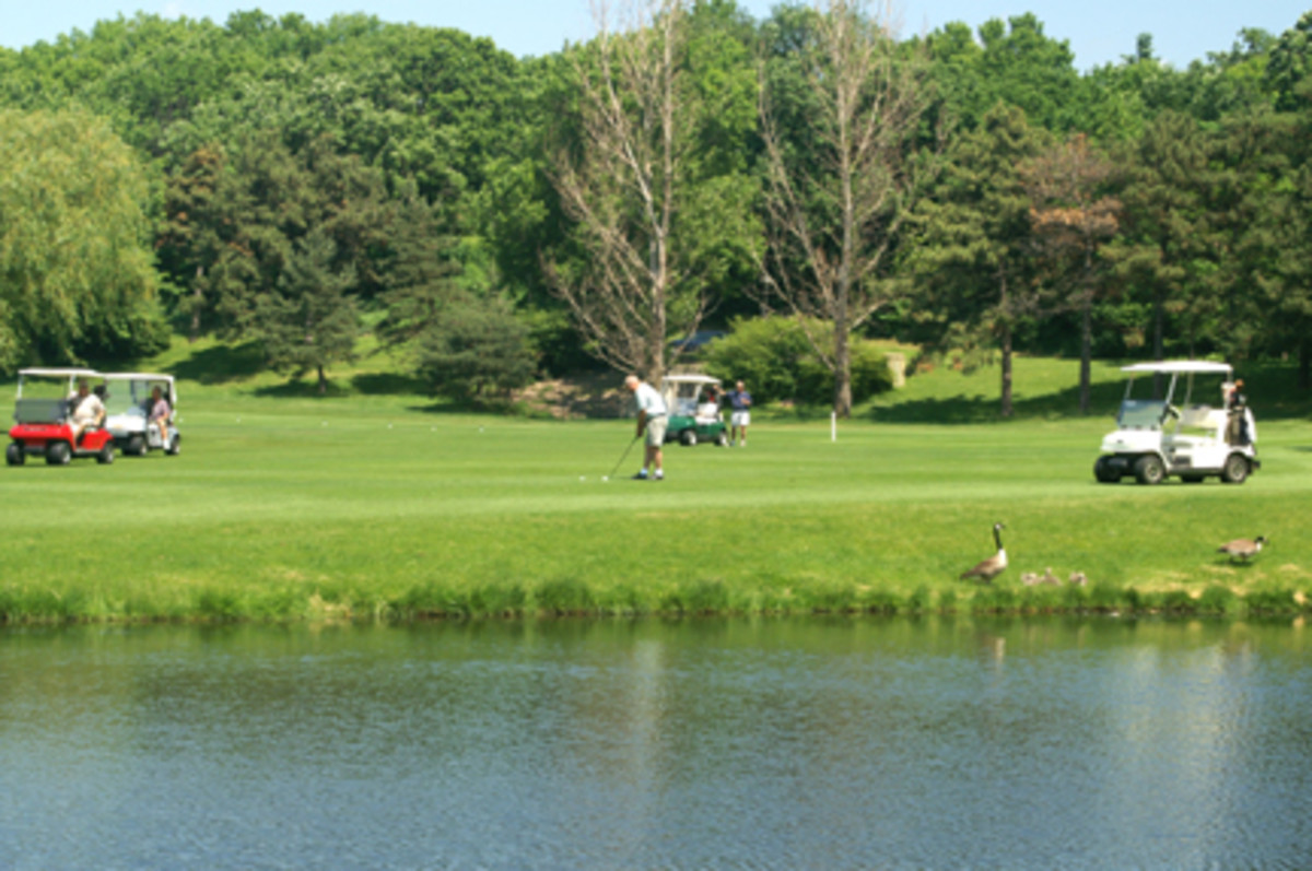 St Paul Como Park, the Best Free Park in America - HubPages