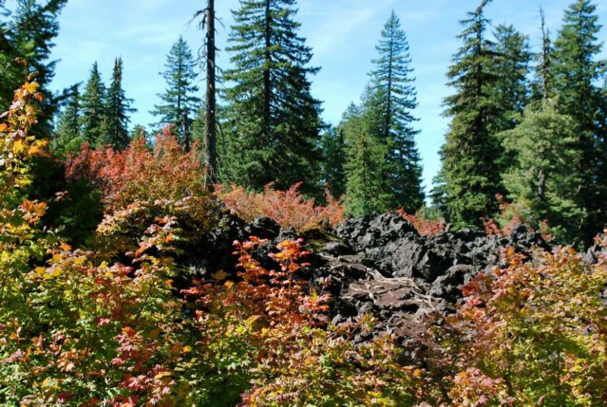 Autumn Colors in Photographs - HubPages