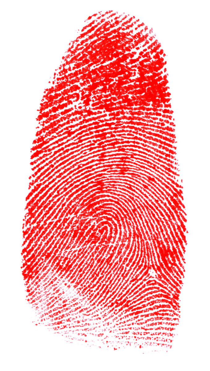 fingerprint-photography-hubpages