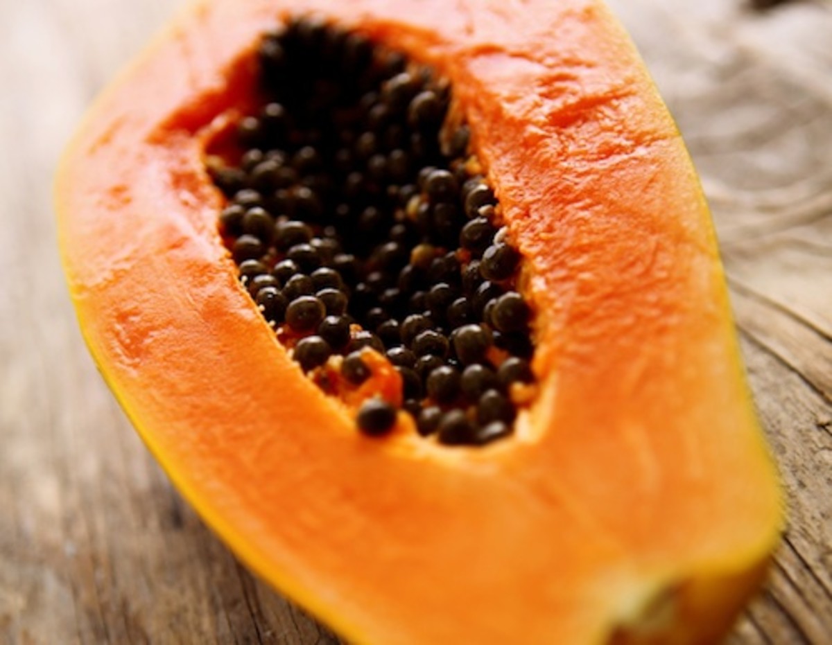10 Exotic Bahamian Fruits for Better Health - HubPages