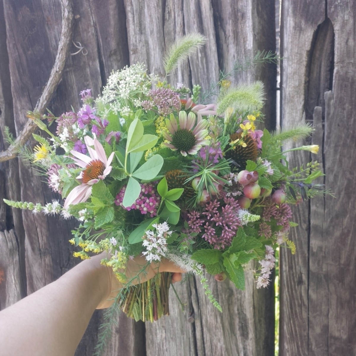 Tussie Mussies, the Language of Herbs - HubPages