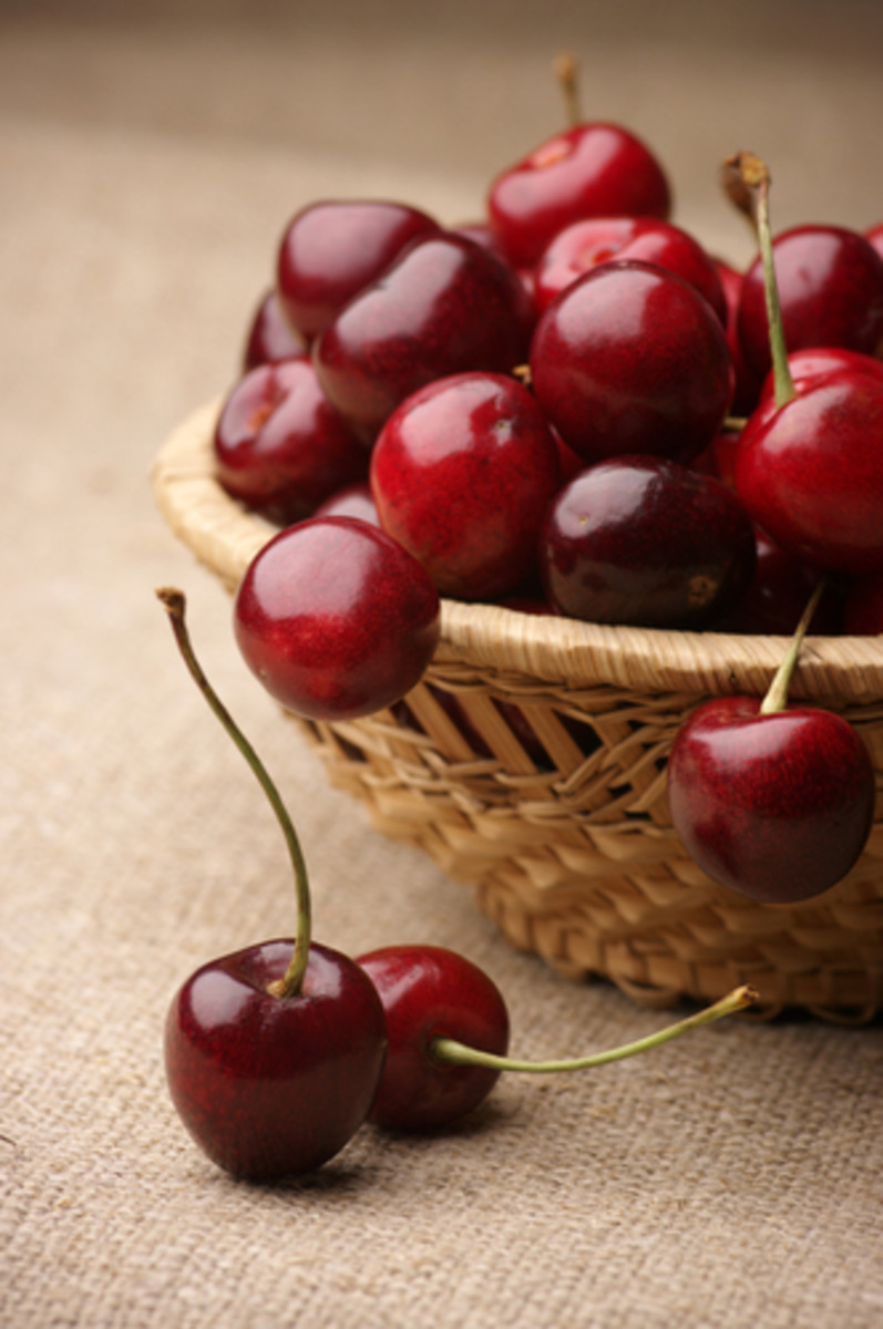 Cherries: Varieties, Uses, History - HubPages