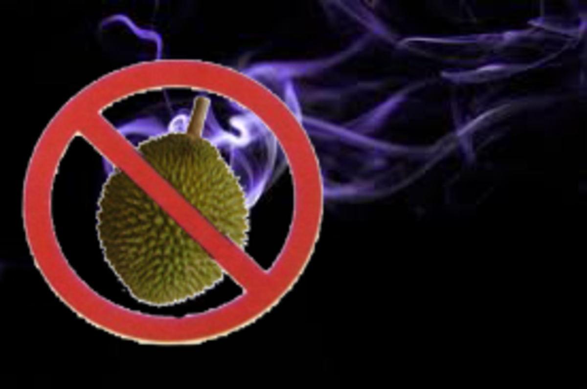The Durian: Symbol of Mystique - HubPages
