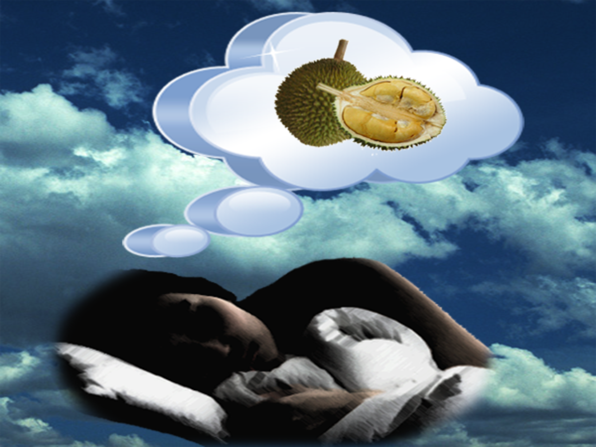The Durian: Symbol of Mystique - HubPages