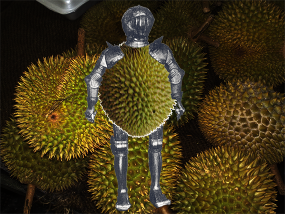 The Durian: Symbol of Mystique - HubPages